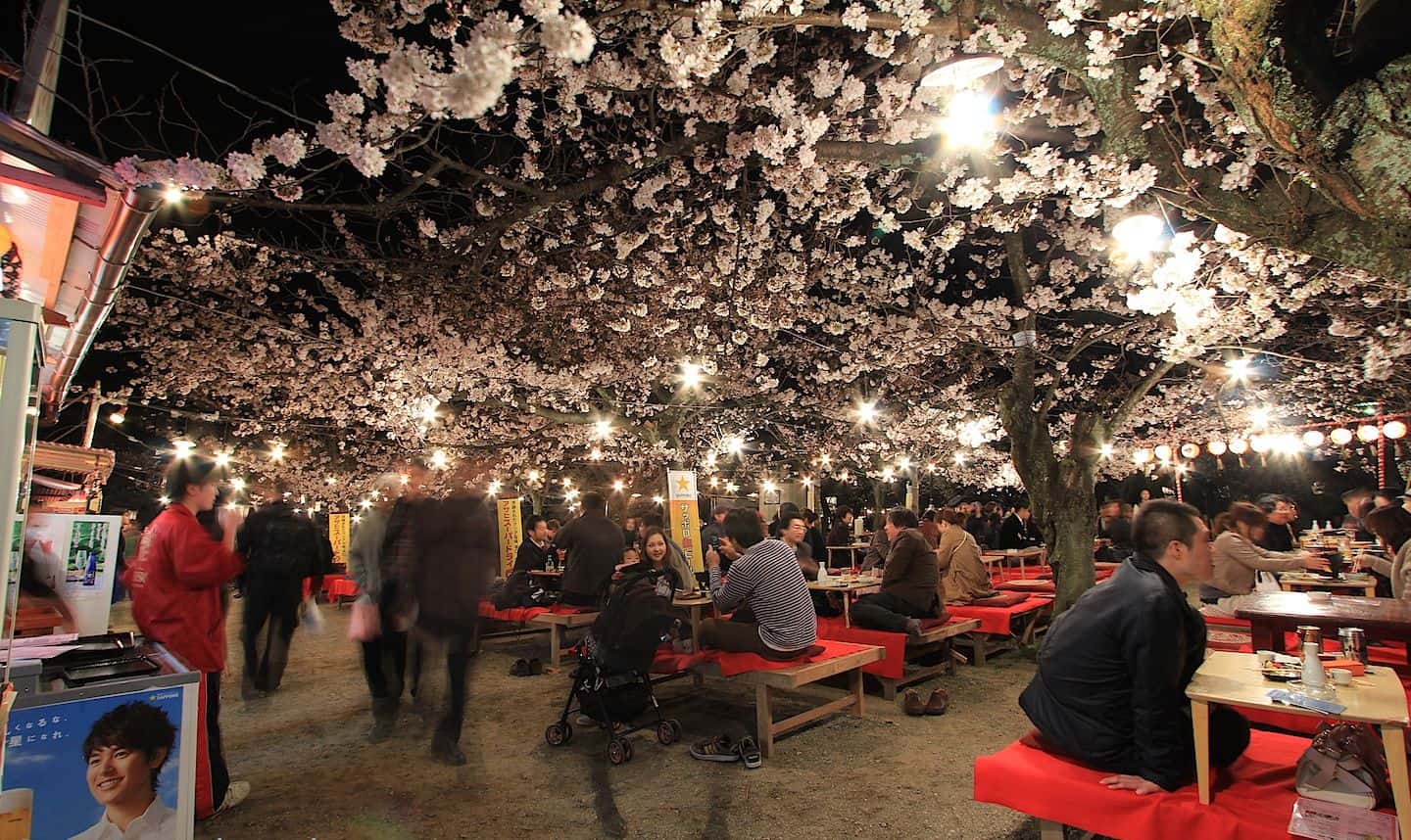 hanami party on the cherry blossom trip to japn with gobeepbeep – BEEP ...
